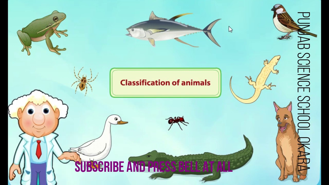 SCIENCE 5 CHAPTER 2 ANIMALS VERTEBRATES - YouTube