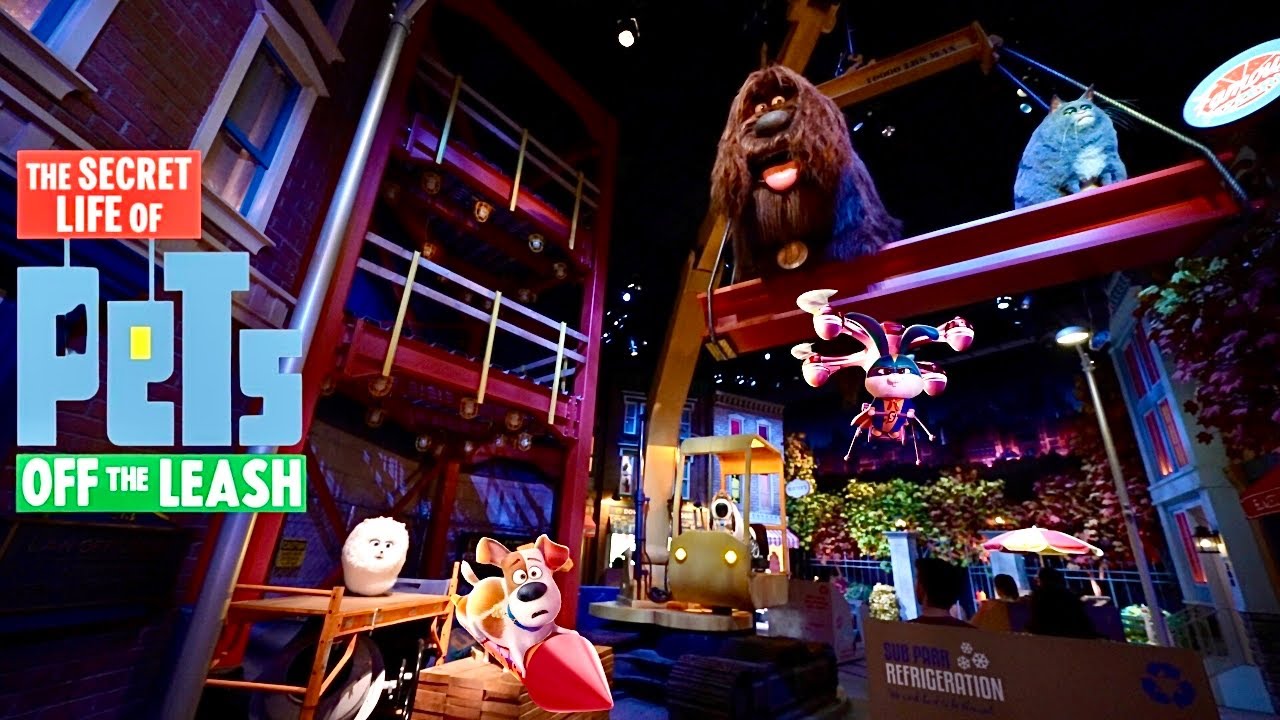 Secret Life of Pets: Off the Leash | Universal Studios Hollywood - YouTube