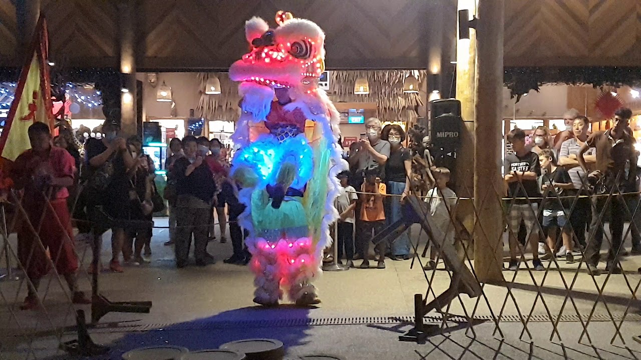 LED Lion Dance 2020 - YouTube