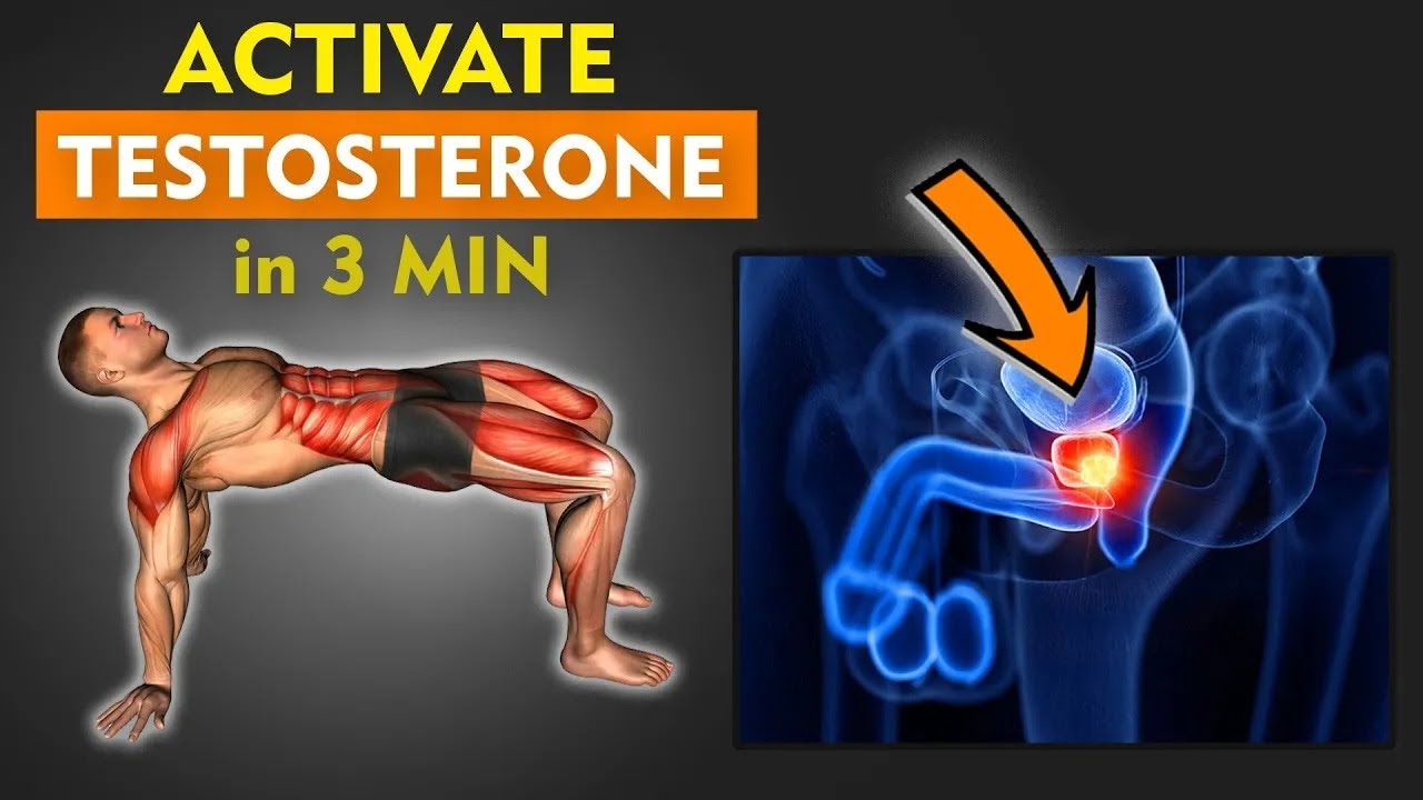 Testosterone Booster with 5 Simple Exercises - YouTube