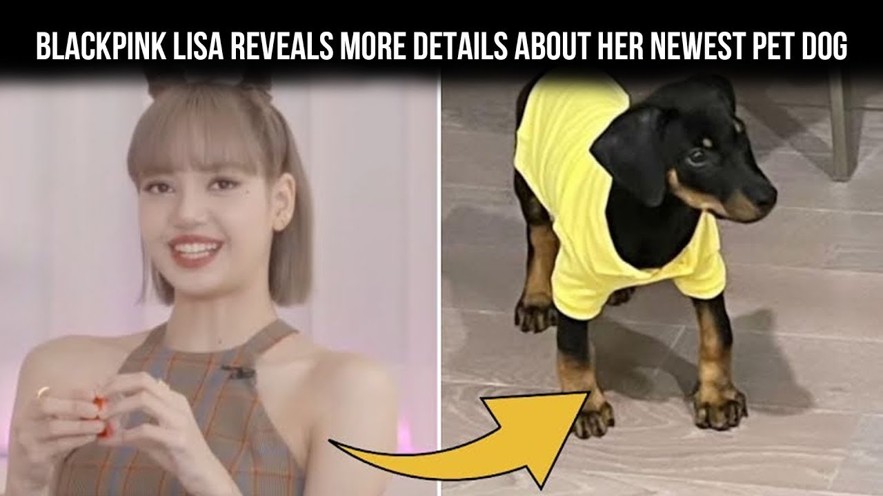 From His Age To His Breed BLACKPINK’s Lisa Reveals More Details About ...