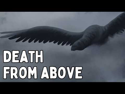 The Largest Dinosaur To Ever Fly