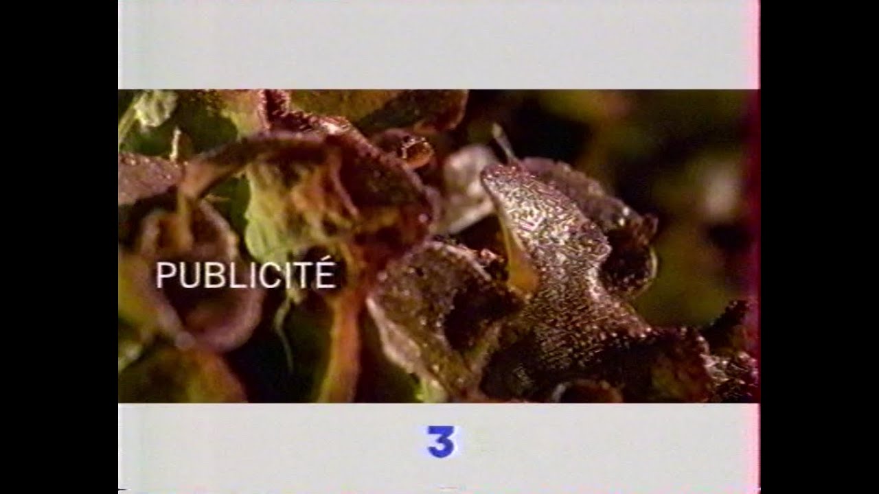 France 3 : Pub, B.A : 06-11-2000 - YouTube