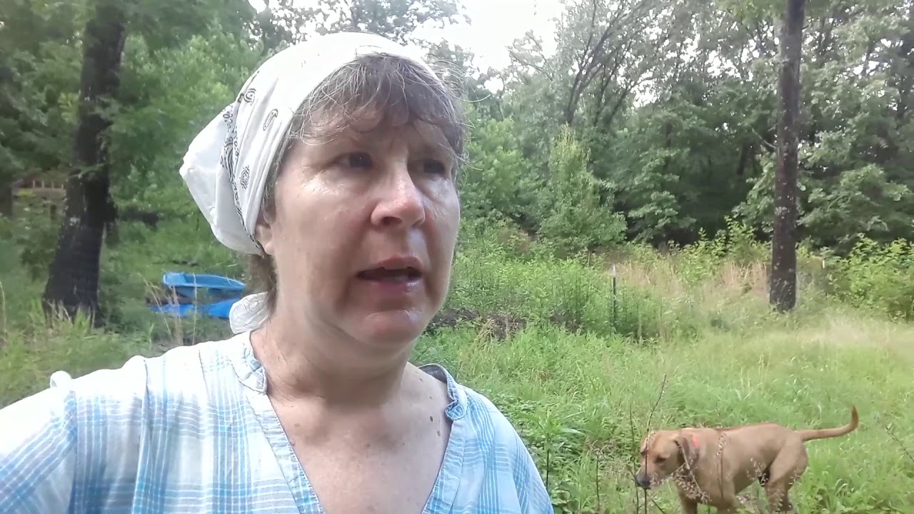 D-Day 75th Anniversary-Thank you Vets - YouTube