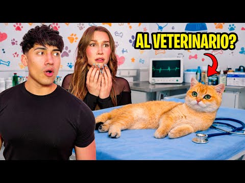 Llevamos à la gatita al veterinario || JC AND SONDRA