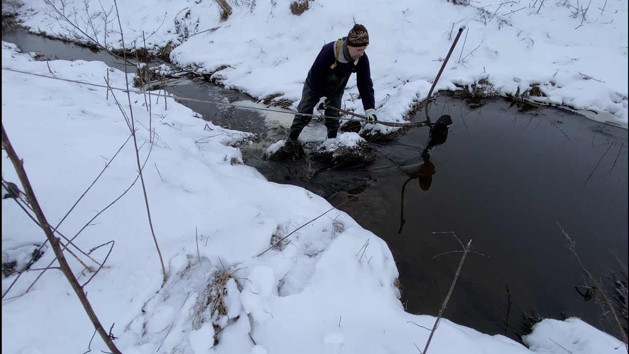 Beaver Dam Removal with new TOOL - YouTube