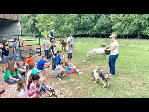 Gearing up for FARM CAMP this Summer!! - YouTube