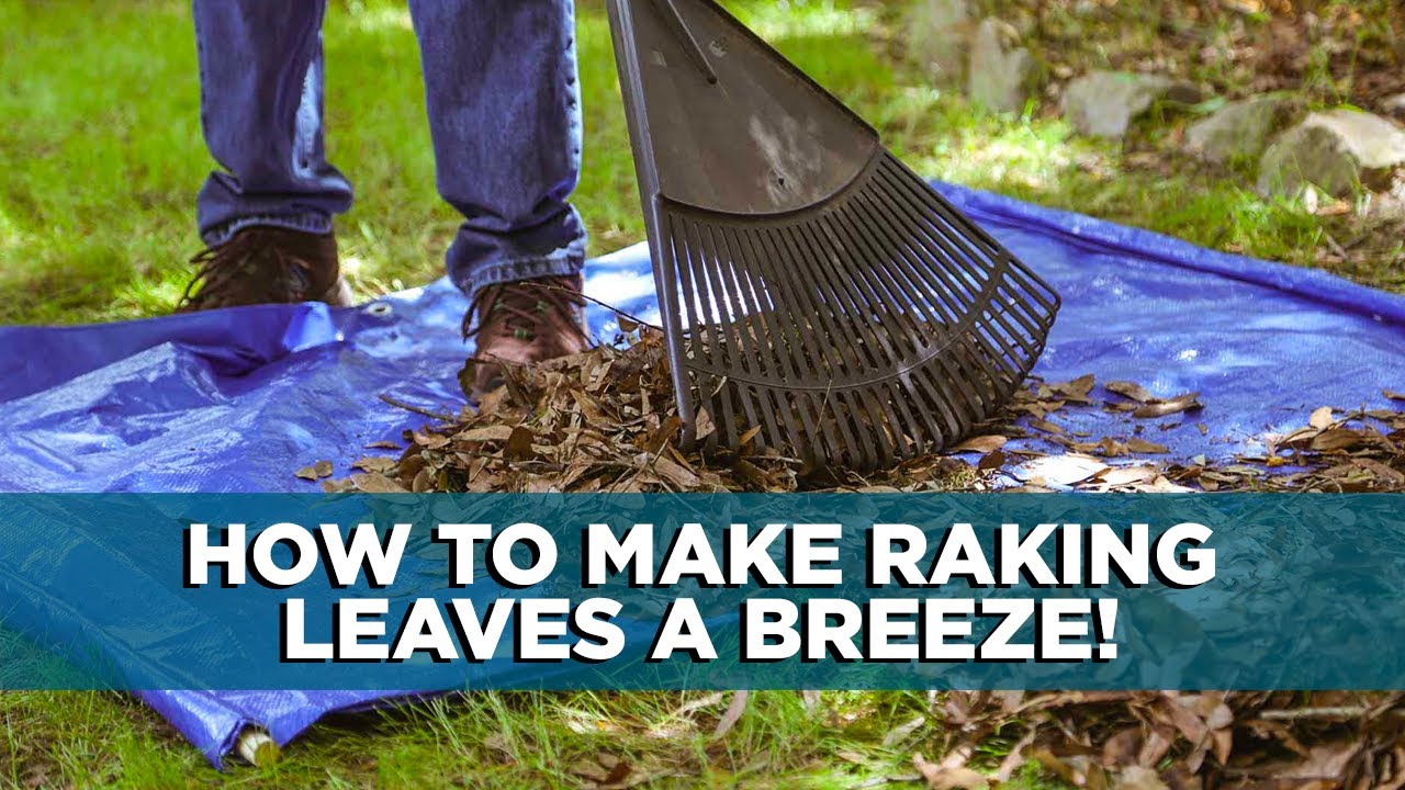 How to Rake Faster with a Tarp and Wooden Dowels - YouTube