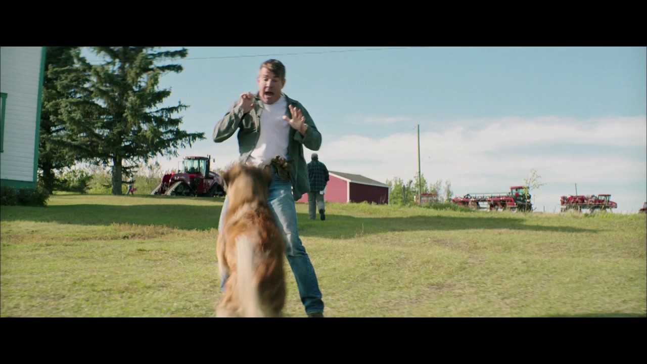 A Dog’s Purpose | Story Behind The Story | Bonus Clip | Own it now on ...