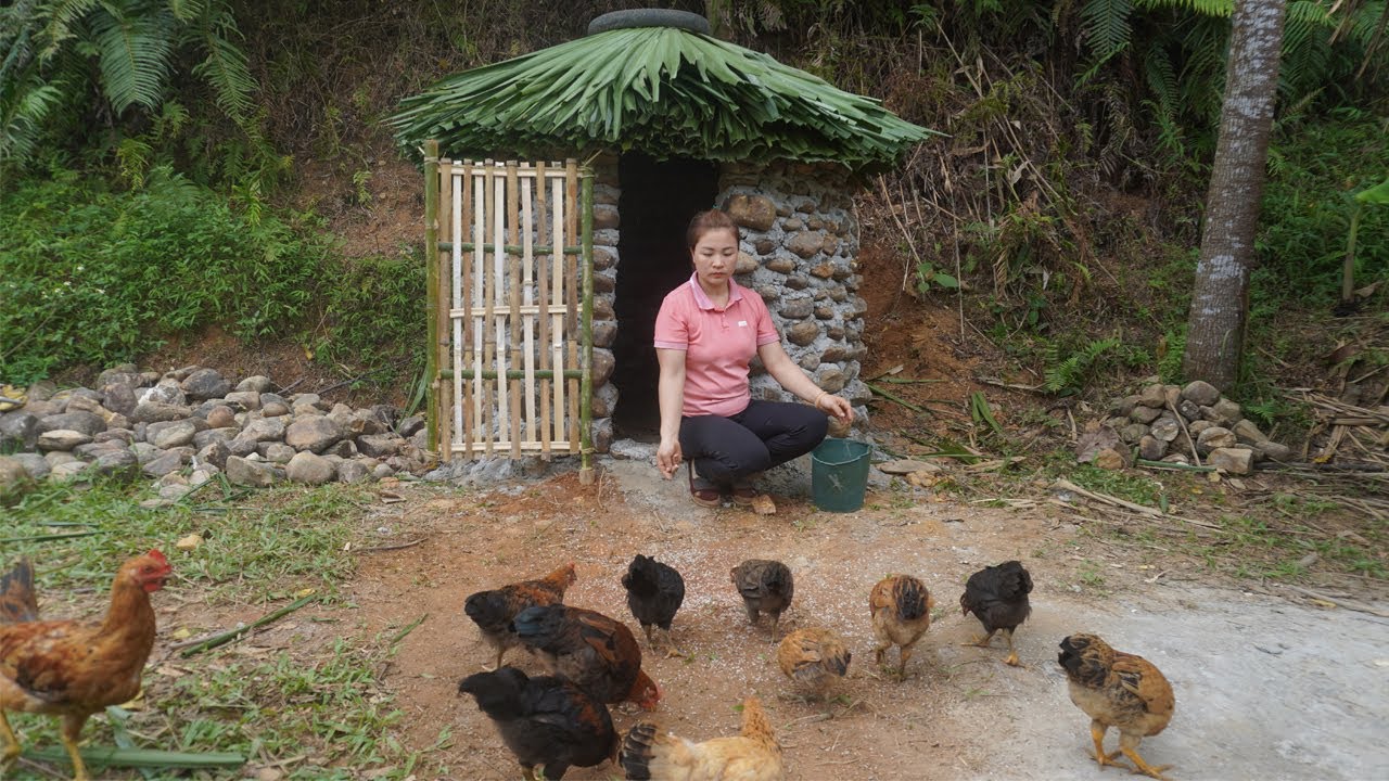 How To Building Stone House For Chicken, Leaf Roof Ep2 - Build Walls ...