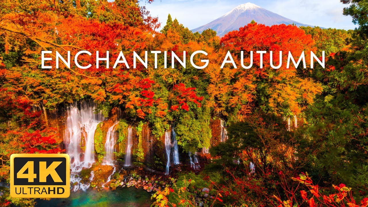 11 HOURS of 4K Enchanting Autumn Nature Scenes + Relaxing Piano Music ...