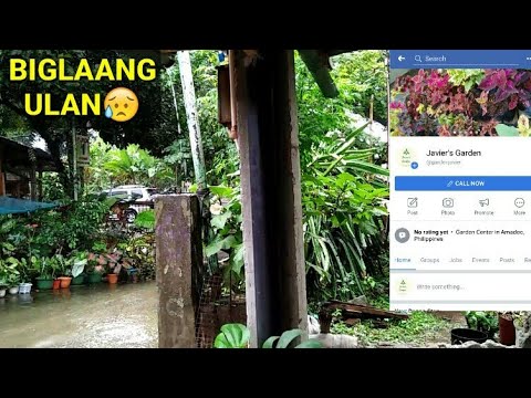BIGLAANG ULAN SA UMAGA/SARI-SARI STORE UPDATE - YouTube