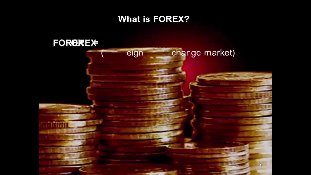 Is Forex Trading A Legit Business (2020) - YouTube