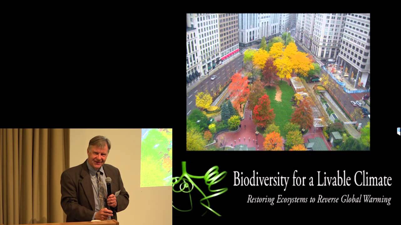Scott Horsley: From Gray to Green Infrastructure - YouTube