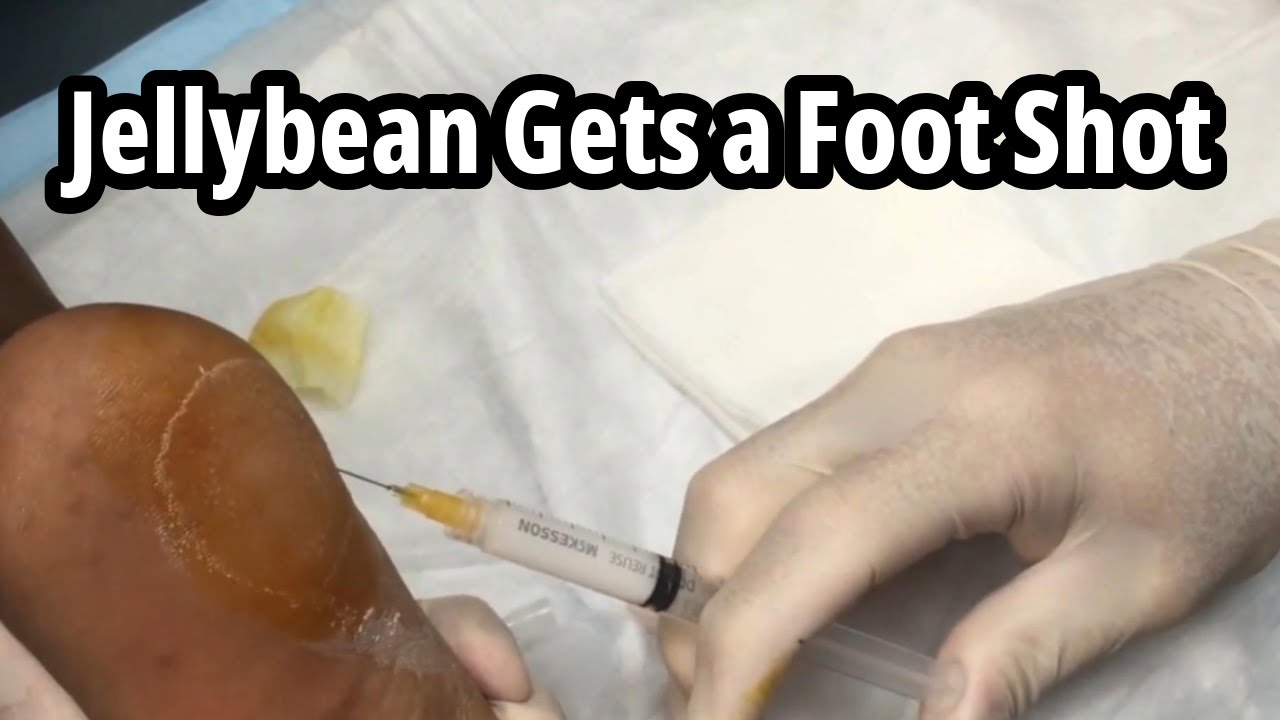 Jellybean Gets a Foot Shot, Cortisone, Carla What is Going On - YouTube