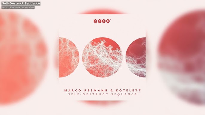 Self Destruct Sequence