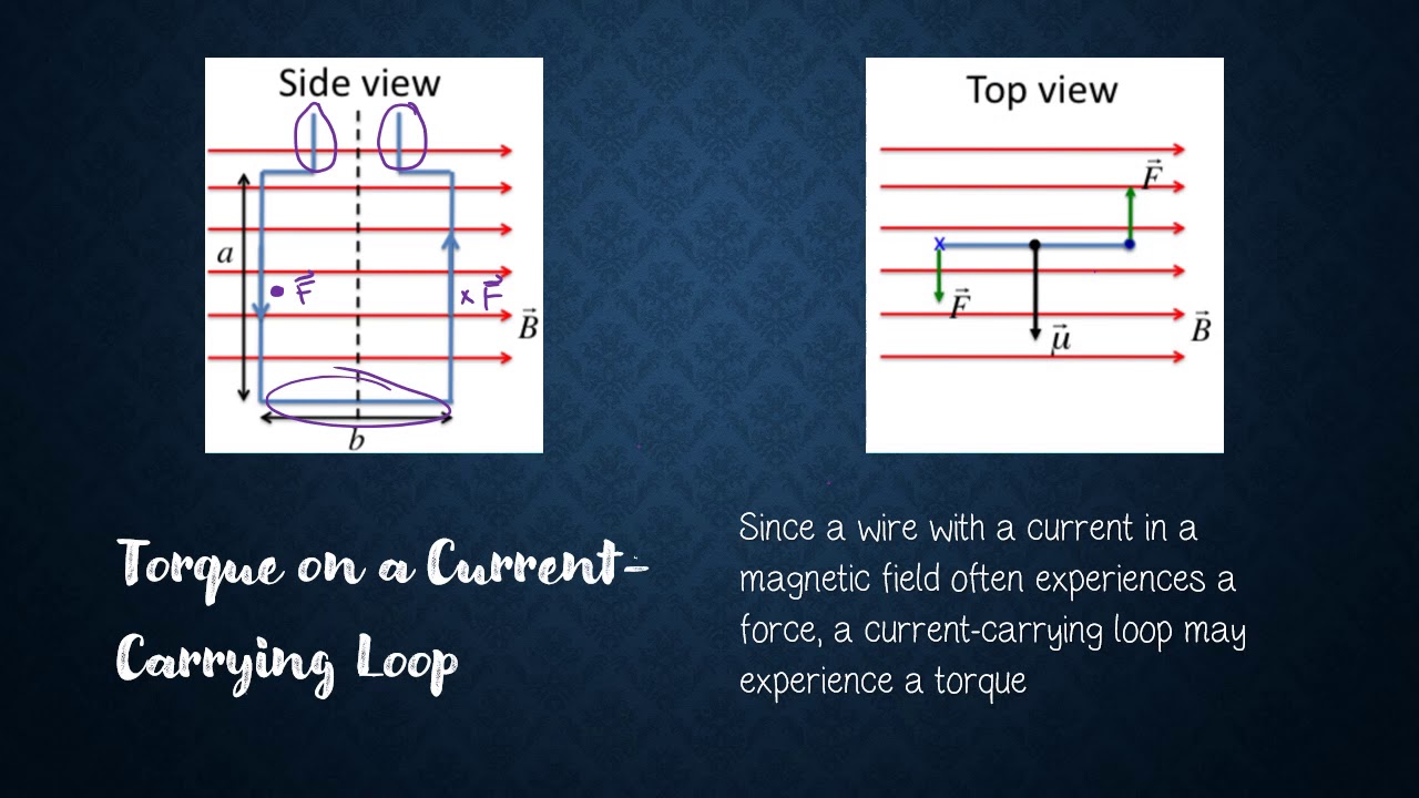 Torque on a Current Carrying Loop - YouTube