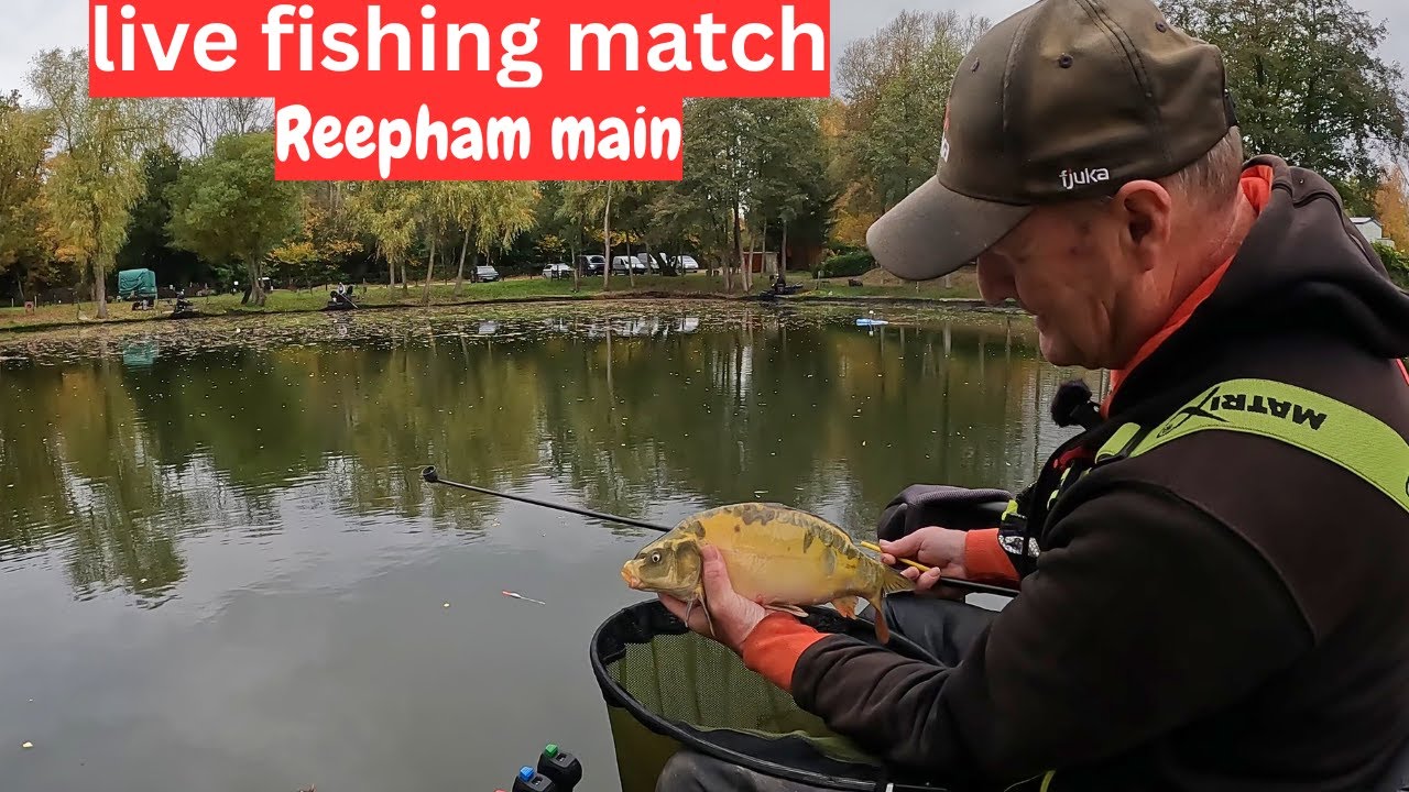 Live Fishing Match Reepham Fishery's NR10 4NR, #matchfishinguk - YouTube