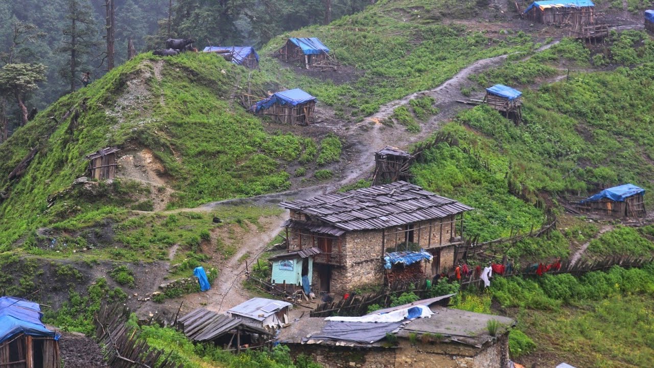 This is Himalayan life in Our Village||Nepal🇳🇵||Summer Season Ranny Day ...
