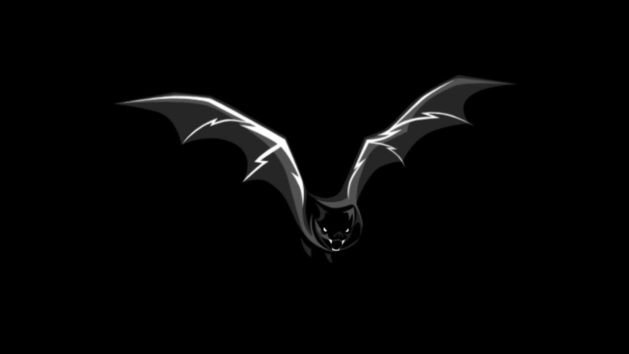 Rehab | Orphan | Bat Megabat (Flying-fox) (Fruit bat) Baby Black male ...
