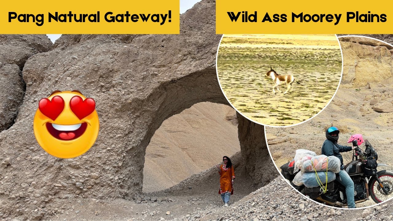 Taglang La to Sarchu | Wild Ass, Pashmina Goats, Pang Canyons & Whiskey ...