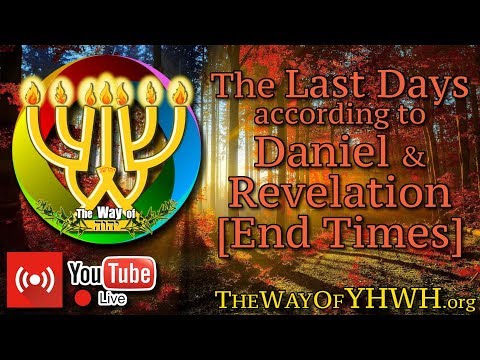 The End Times [1st] (Last Days According to the Times of the Book of ...