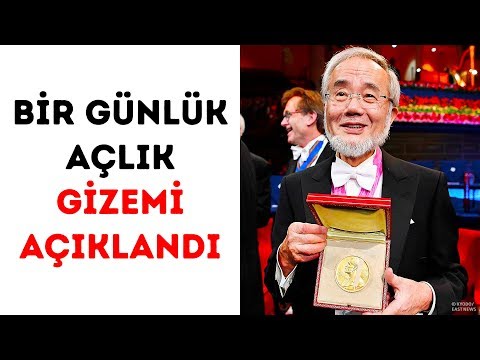 Bir Günlük Açlık Sırrı Nobel Ödülü Aldı