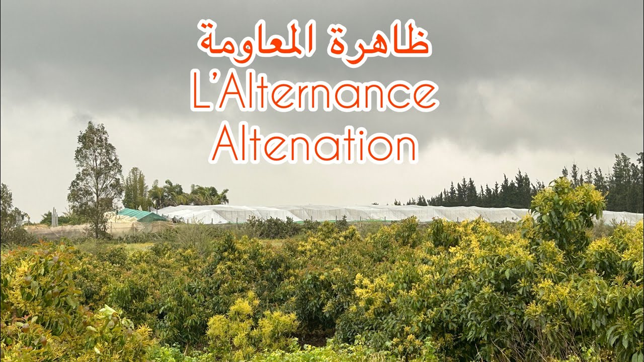 ماذا تعرفون عن المعاومة ؟Que savez-vous du l’Alternance ?What do u know about Alternation ...