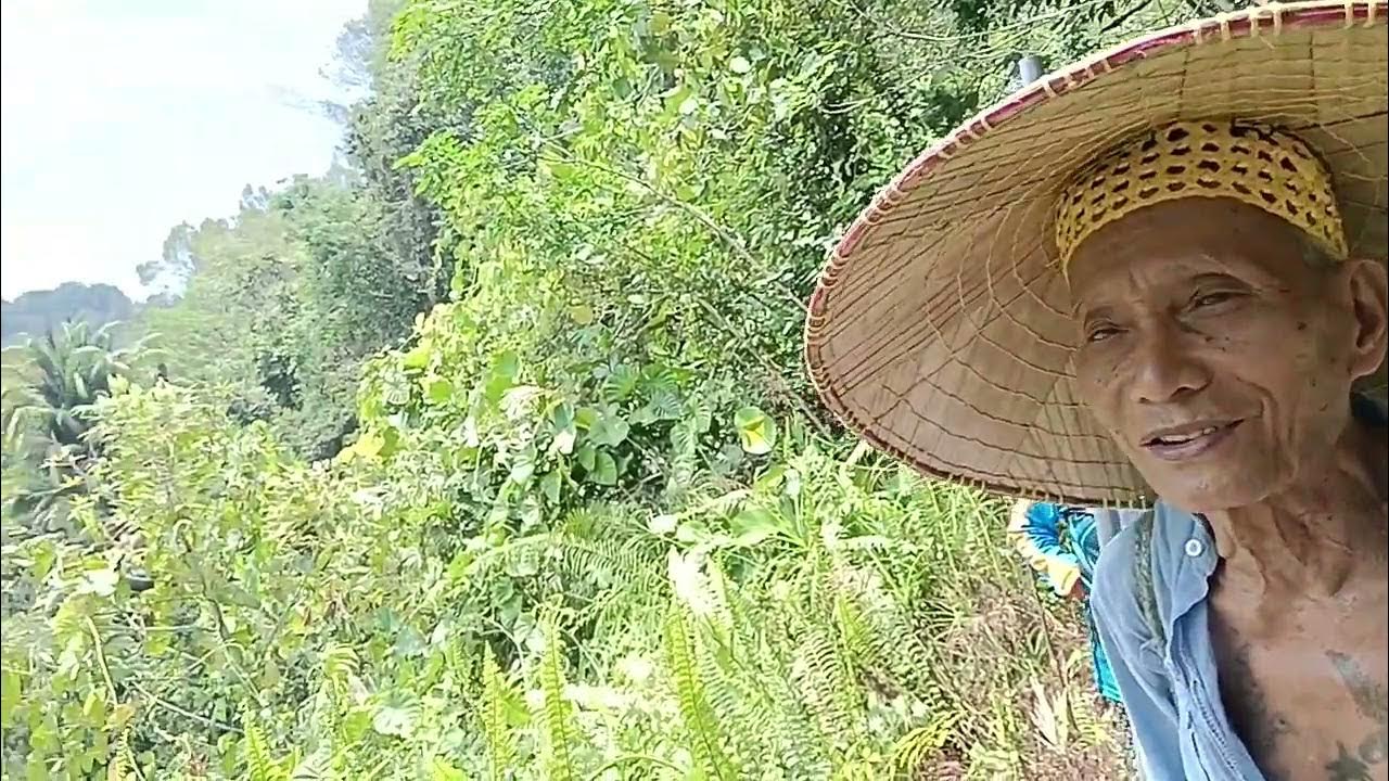 Tuchung Lubang Remaung @ Lubang Kusing, Ulu Entabai - @Jerrylenggir_channel - YouTube