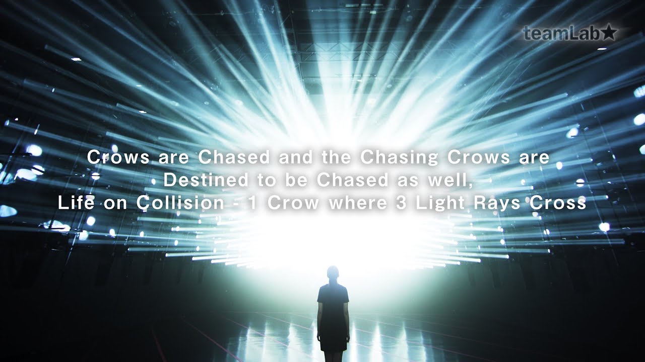 Crows are Chased and the Chasing Crows are Destined to be Chased as ...