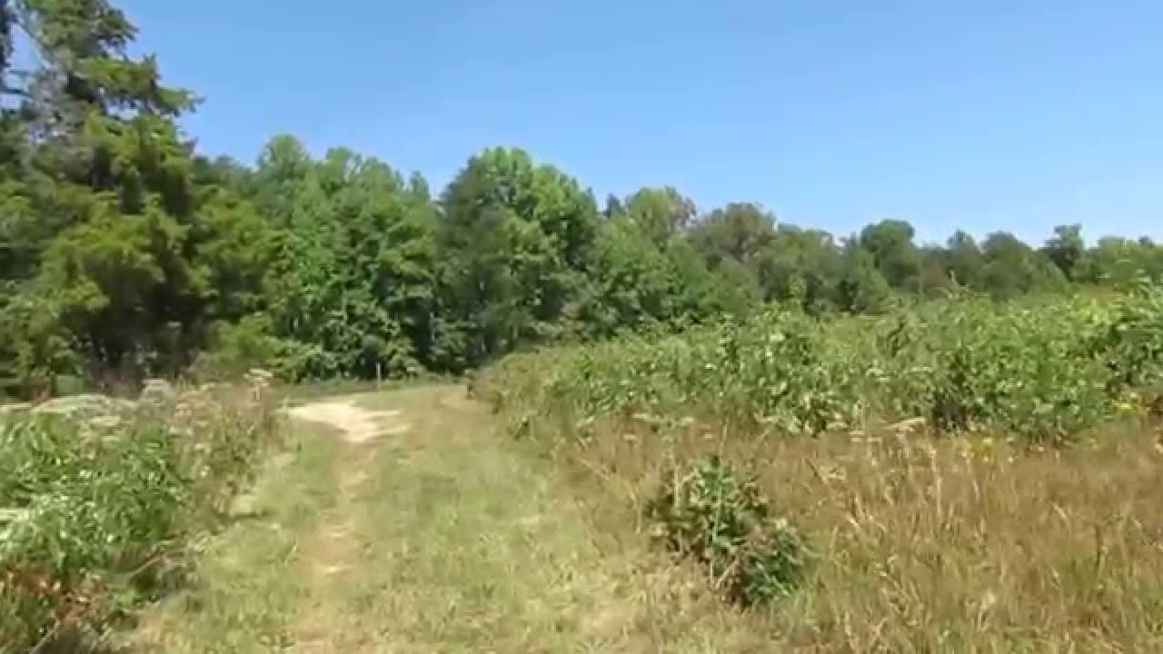 Walking Bloody Angle - Spotsylvania Courthouse Battlefield, Virginia ...