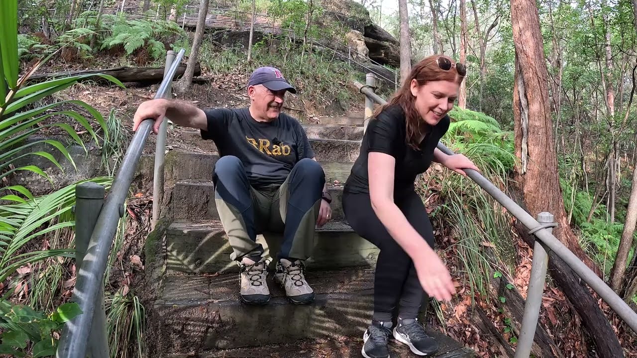 STAIRS OF DEATH | Springwood Conservation Park | 12 Mountains, 12 Weeks ...