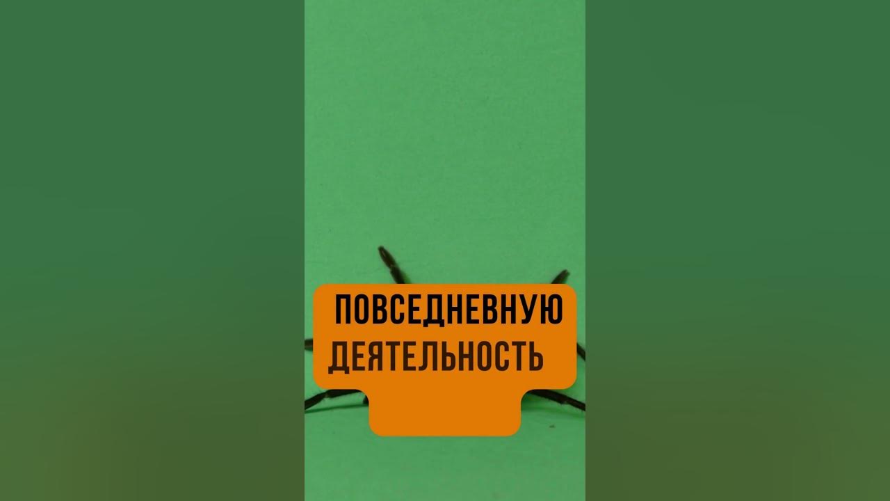 😃😃 История о том как домашний питомец принес радость в дом Сначала