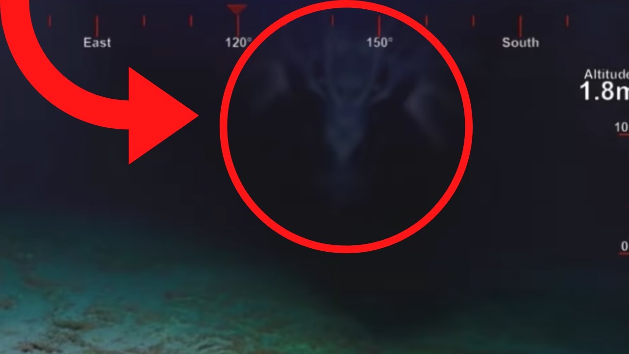 Mysterious Gigantic Sea Monster Sightings You Won't Believe Are Real ...