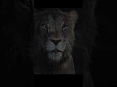 Kimse Kötü Doğmaz... | Mufasa : Aslan Kral 2024  #shorts #edit