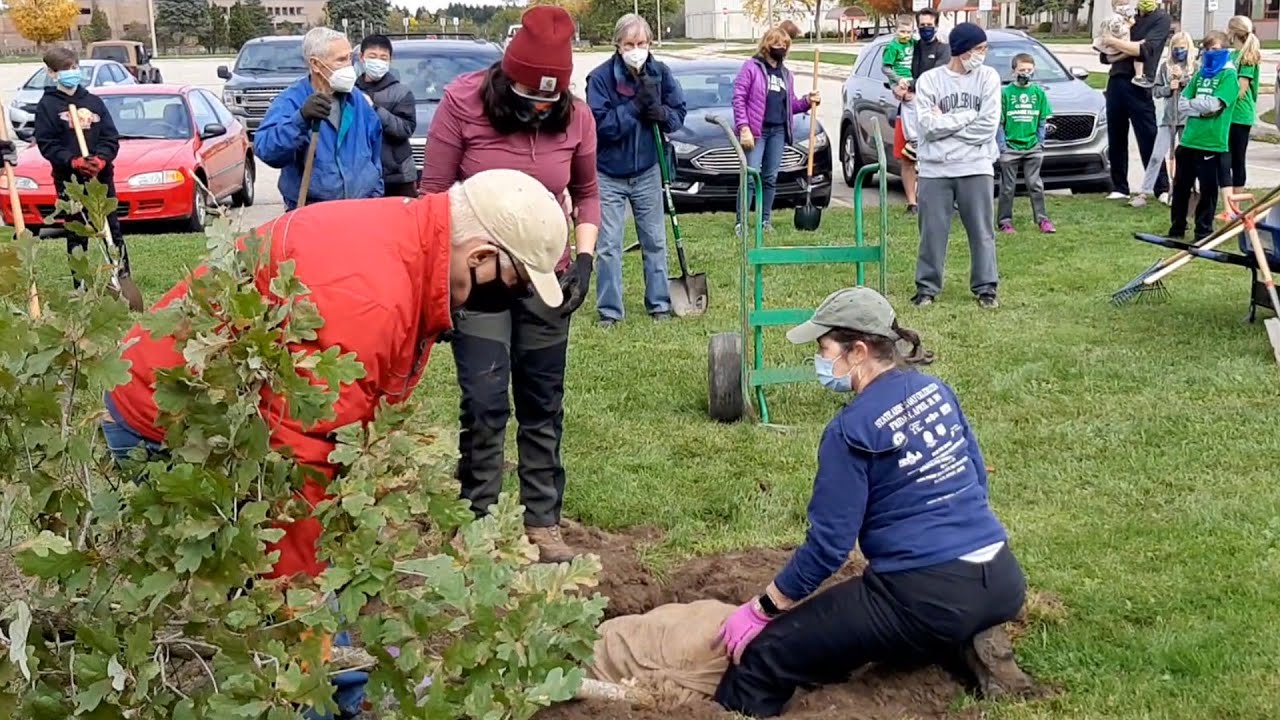 Community Tree Planting Day 2020 - YouTube