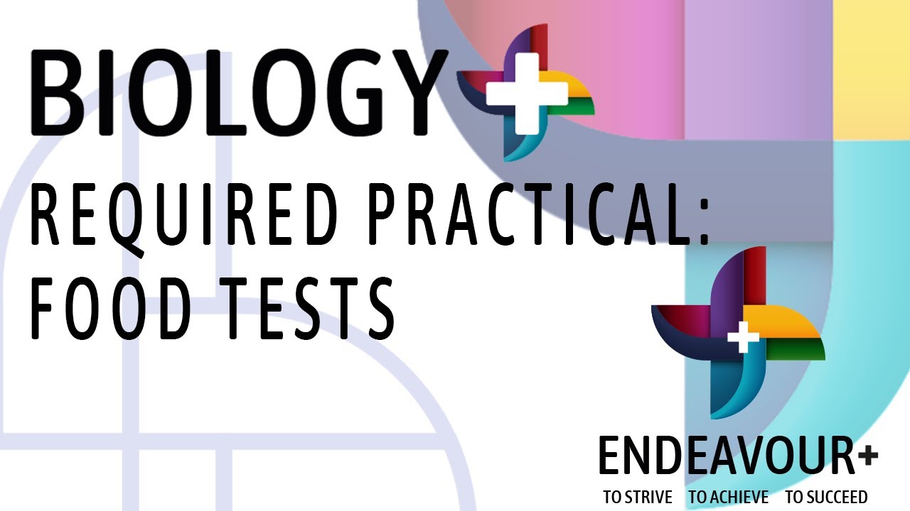 BIOL1: Food Tests Required Practical - YouTube