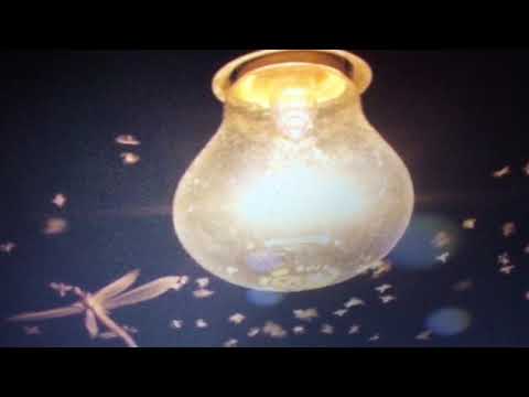 Ayvayı Narı Daldan mı Sandın