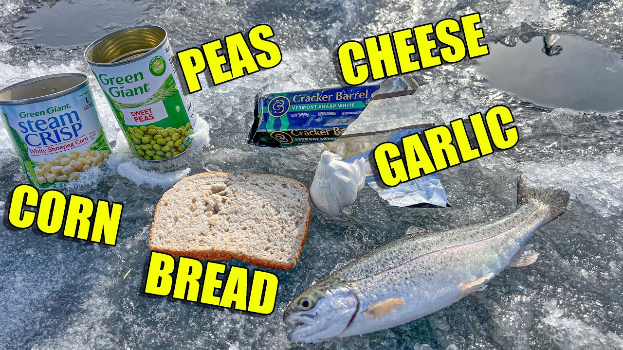 Trout Baits In Your Kitchen! (Corn, Peas, Garlic, Cheese, & Bread ...