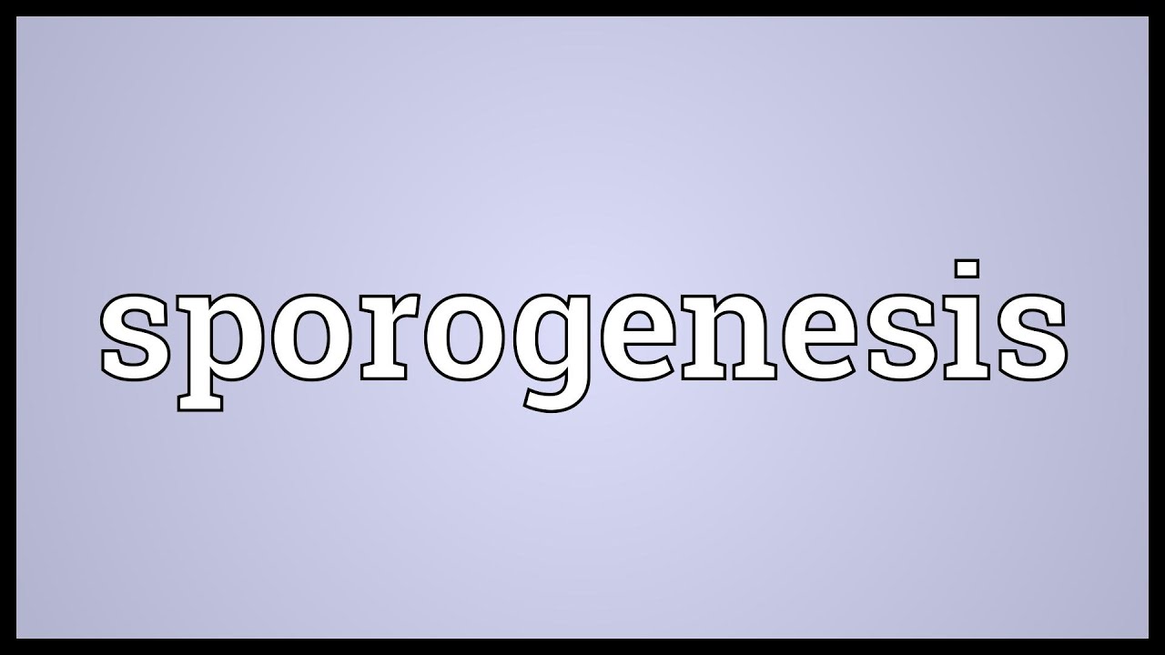 Sporogenesis Meaning - YouTube