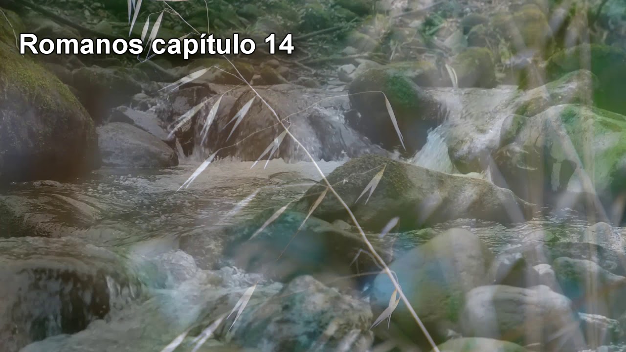 Romanos - Capítulo 14 - YouTube