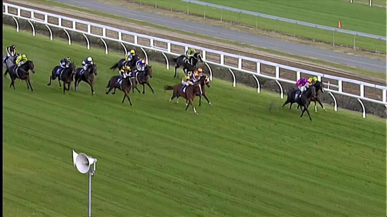 Race Replay: Te Rapa Race 6 - 27 April - YouTube