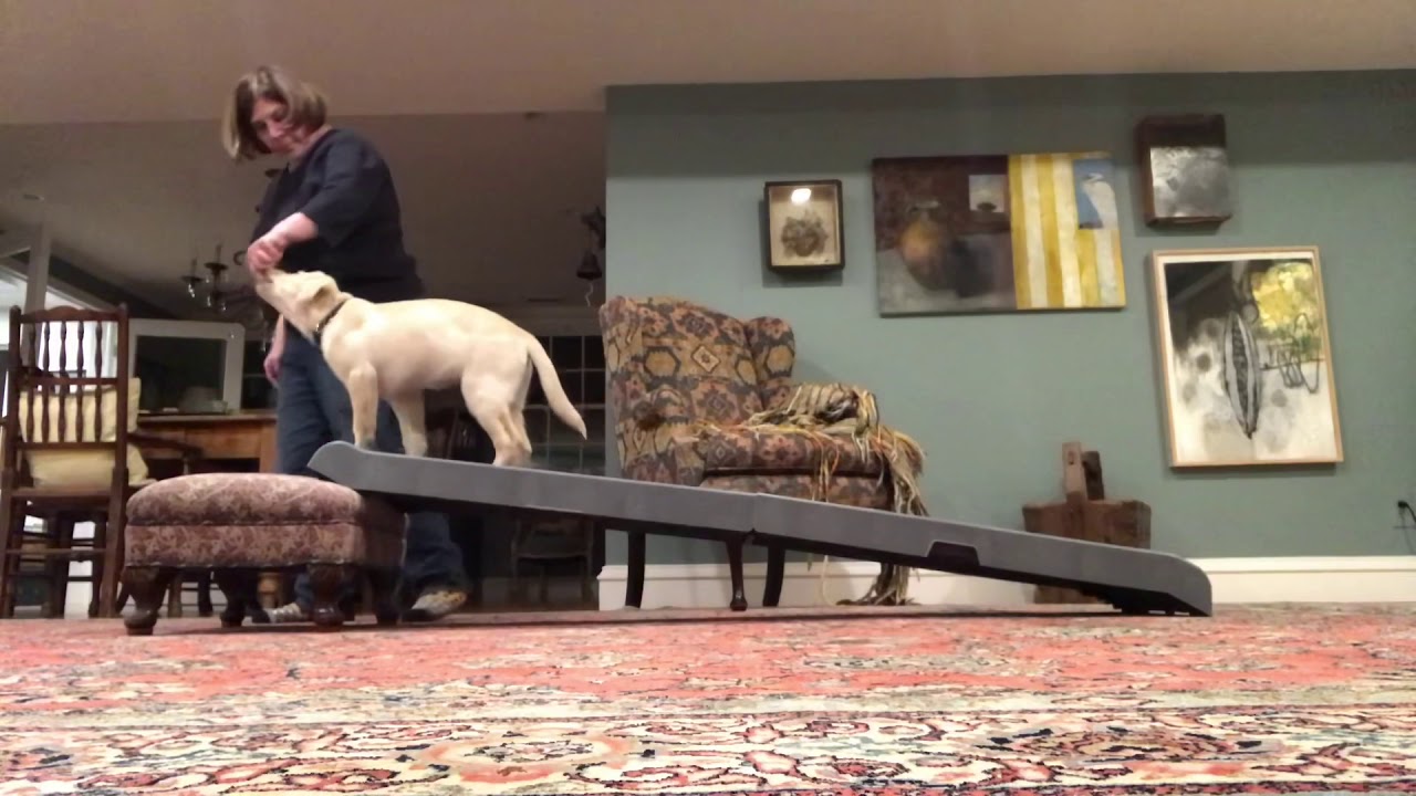 Ramp training compilation 13 weeks - YouTube