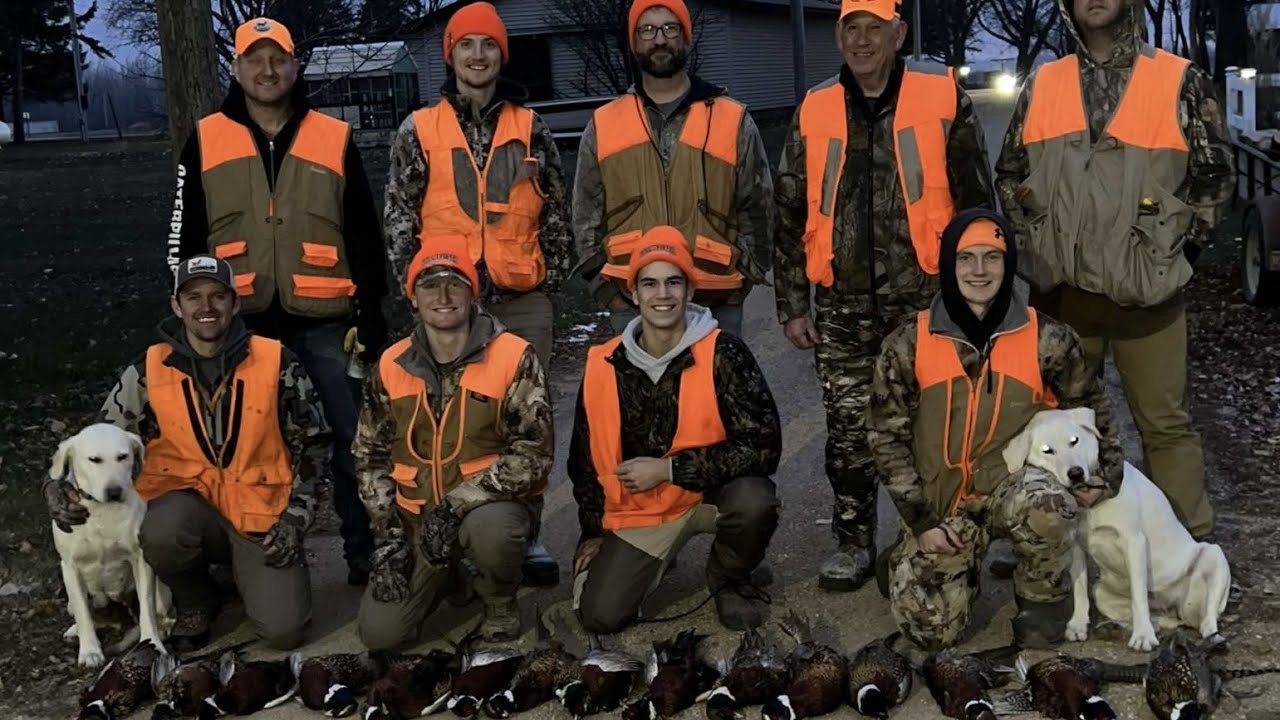 Pheasant Hunting in Western Minnesota results in a 15 bird day!! - YouTube