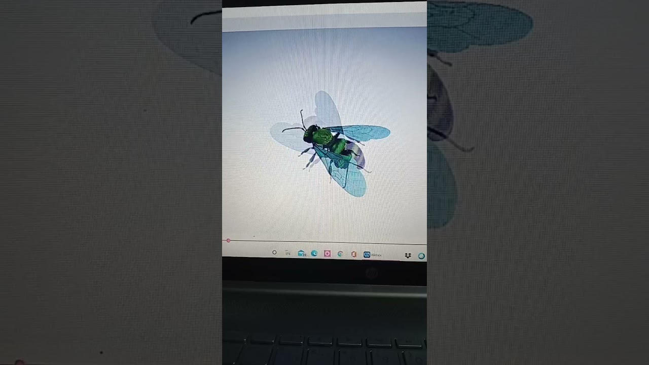 3D Views - YouTube