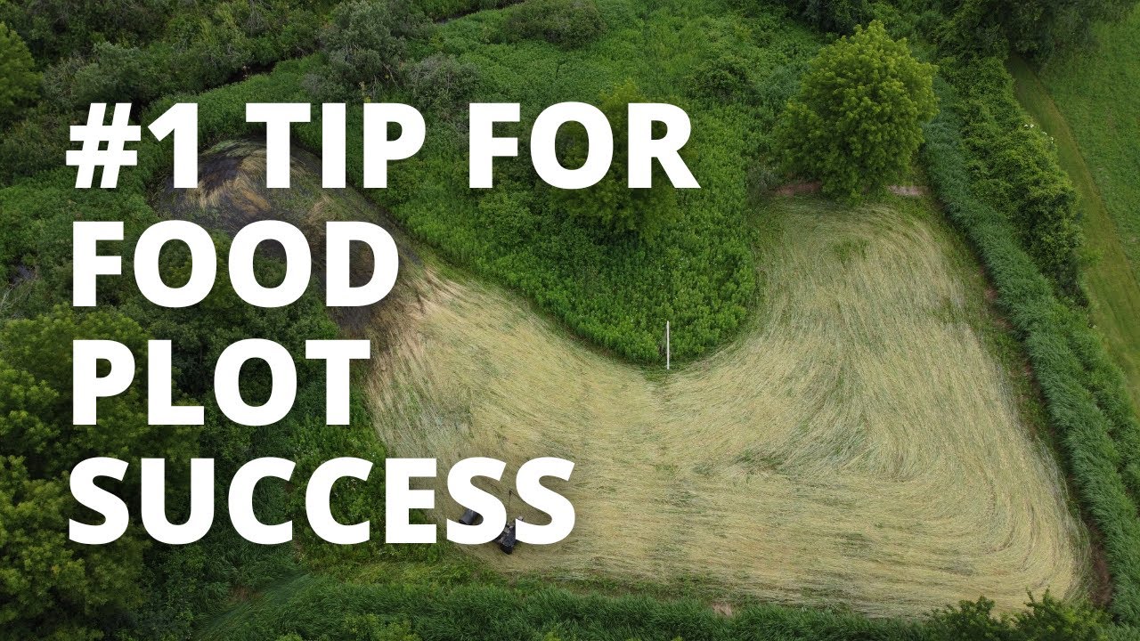 #1 Tip For A Successful Food Plot This Season - YouTube