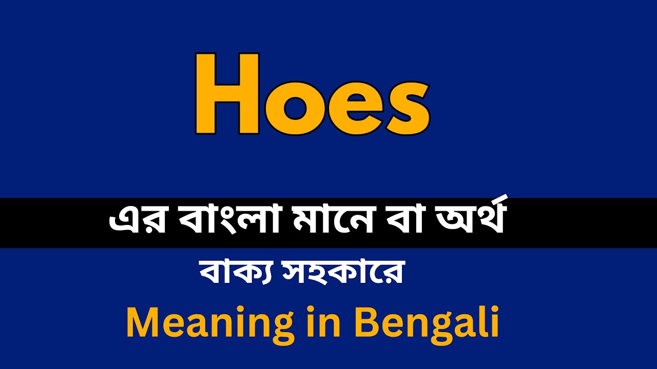 Hoes Meaning in Bengali /Hoes শব্দের বাংলা ভাষায় অর্থ অথবা মানে কি ...