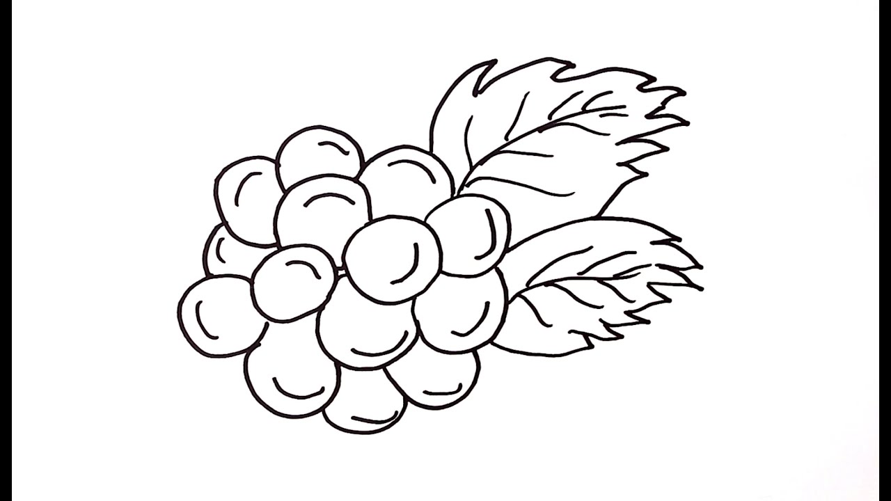 ¿Cómo Dibujar un RACIMO DE UVAS? 🍇🌱 Dibujo de un RACIMO DE UVAS Paso a ...