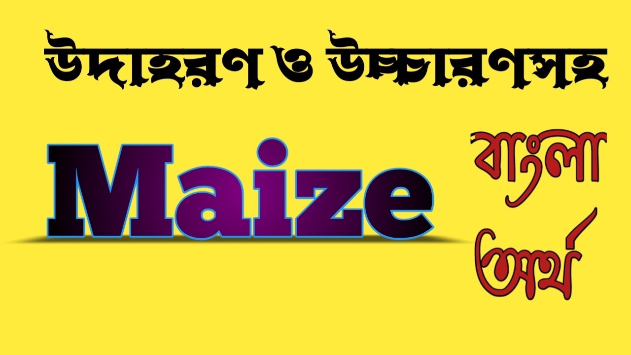 Word Meaning of Maize । Maize এর বাংলা অর্থ । Bangla Dictionary - YouTube