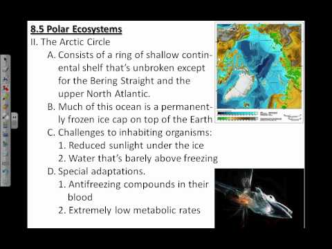 8.5_Polar_Ecosystems